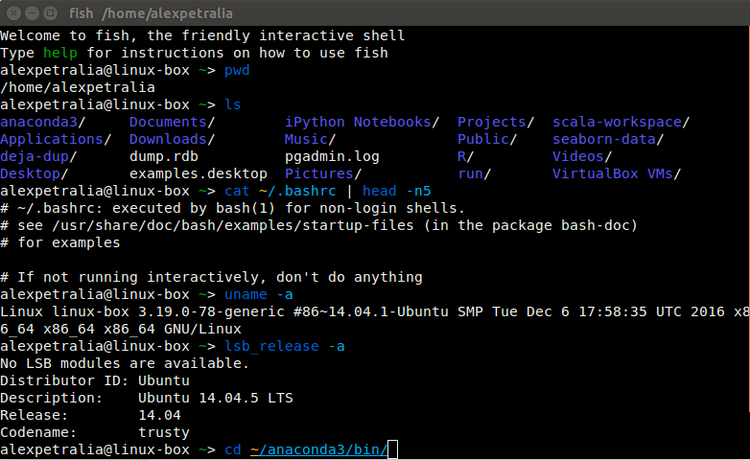Shell Scripting Bash Scripts Csh And Ksh Scripts For 5 CodeClerks